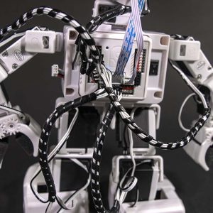 JD Humanoid | KIDSCODE