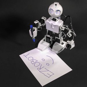 JD Humanoid | KIDSCODE
